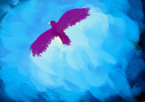 A Magical Appearance | Kevin's Daily Creativity Journal